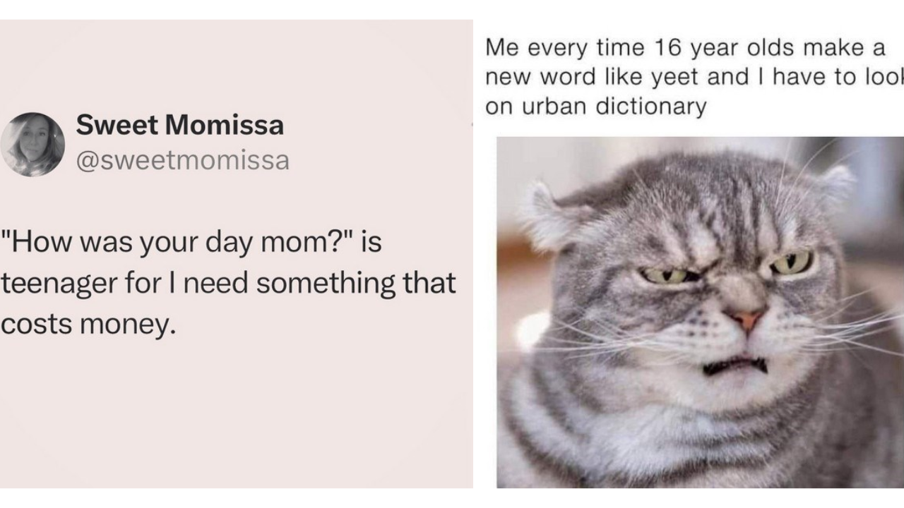 30 relatable memes about parenting teenagers