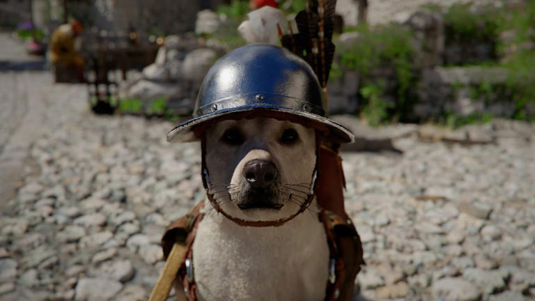 Crimson Desert's pet dogs can now attack enemies if you grab this one ...