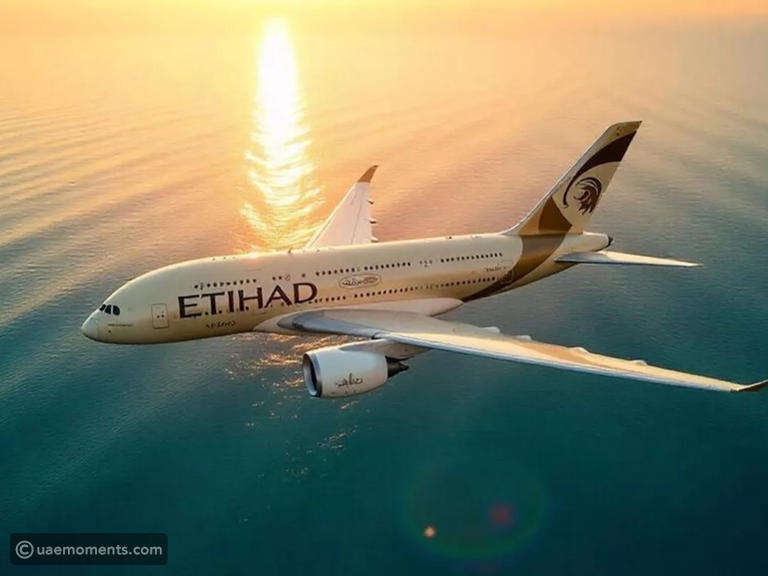 Etihad confirms no fire on EY343 flight from Chennai