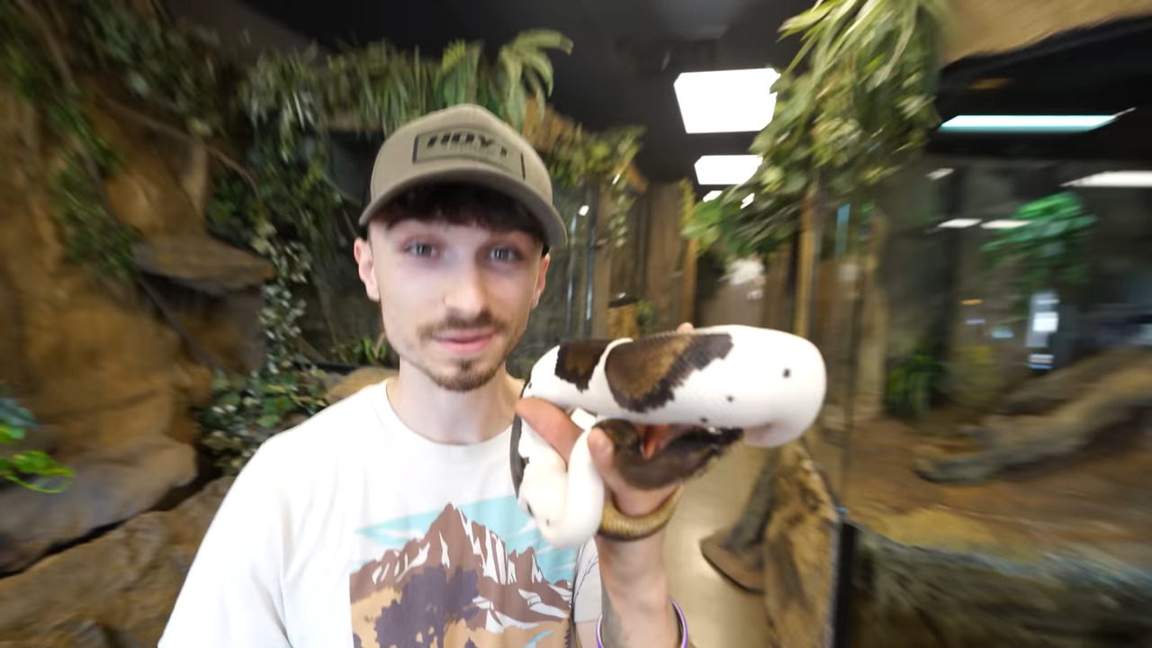 He got his first snake - now it needs a secure enclosure