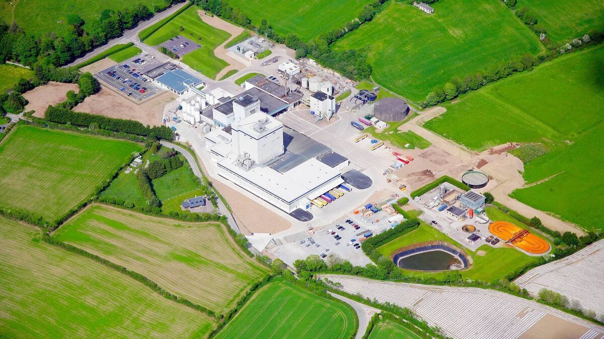 Danone to expand operations in Macroom adding 230 jobs