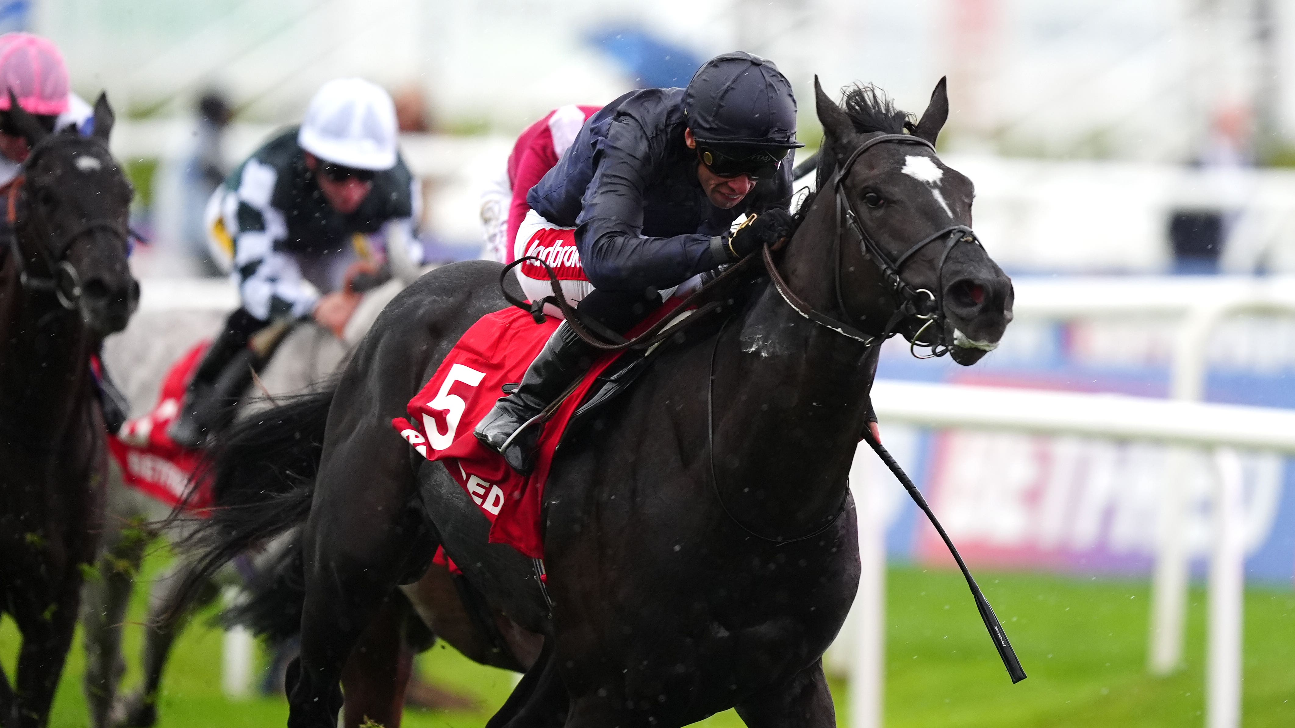 Puerto Rico pencilled in for blockbuster Ascot clash