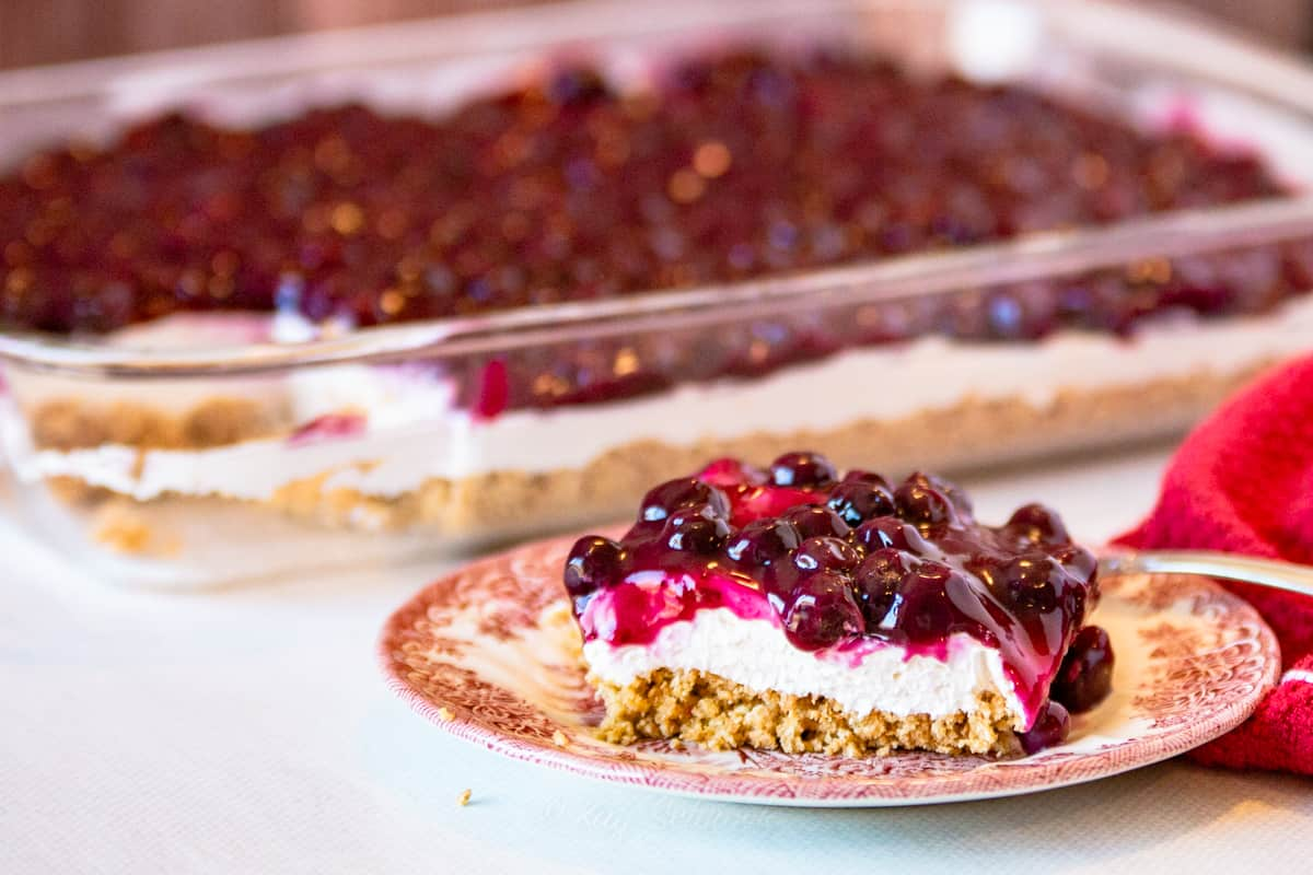 Unveiling the easy bliss of no bake blueberry delight
