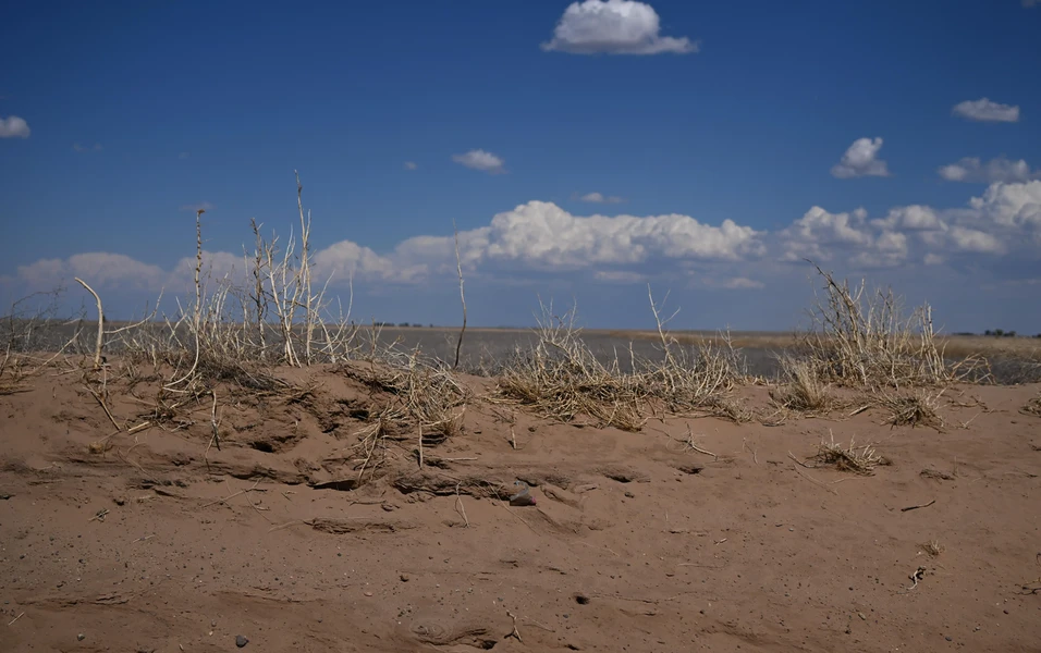 Colorado farmers turn to rye to save scarce water