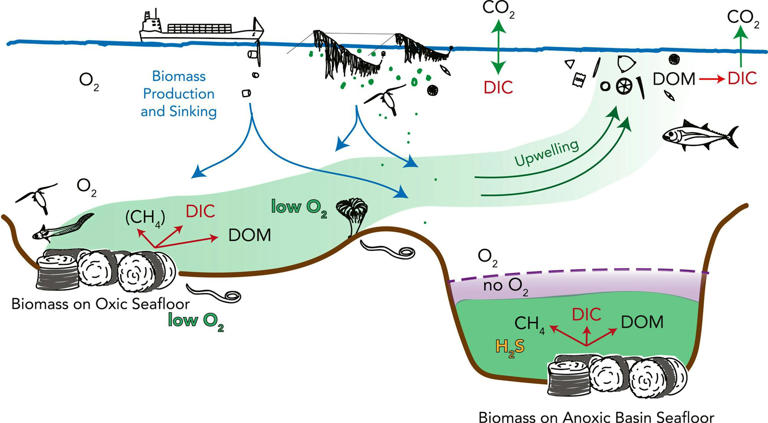 A deep-ocean climate plan wins rare EPA approval, but is sinking plants ...