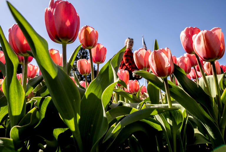 Pa. weather forcast: A soggy midweek will be followed by sunny days