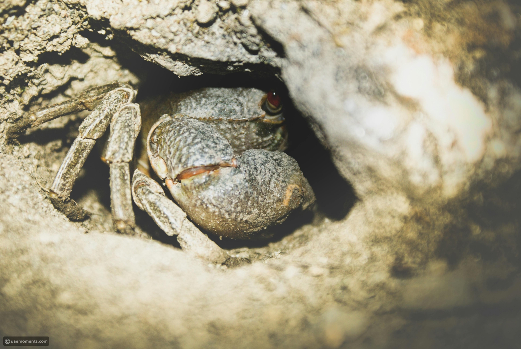 A forgotten society lived hidden underground for centuries ...