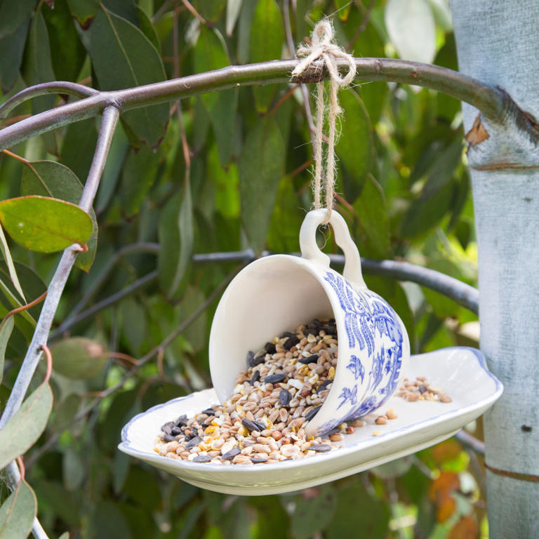 7 clever solutions to stop birds pooing on your garden furniture humanely