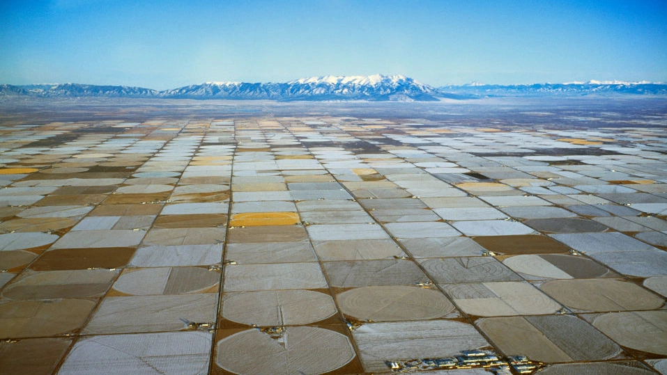 Colorado farmers turn to rye to save scarce water
