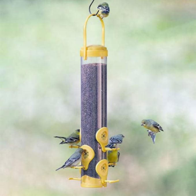 The best no-mess bird feeders to keep your yard clean
