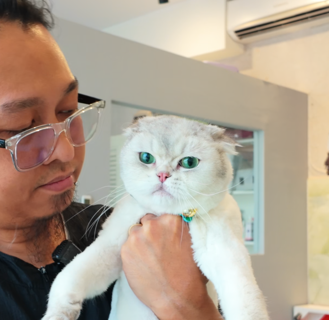 Owning a cat takes more than love 😿