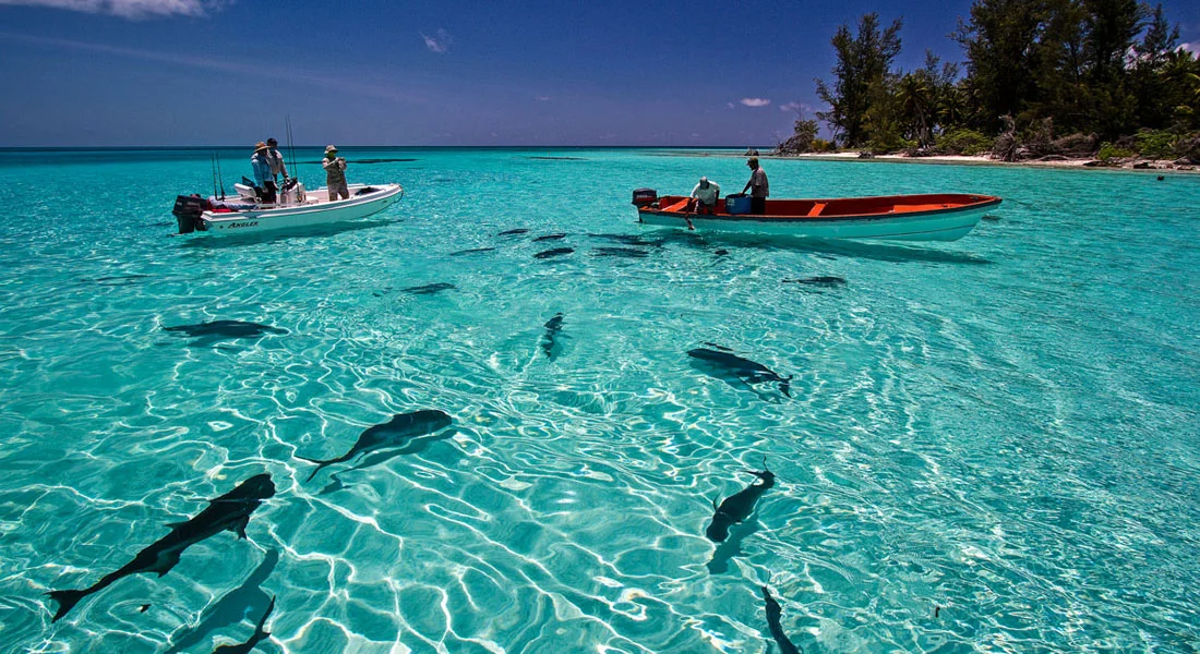 The world’s 10 ultimate fishing adventures for 2026