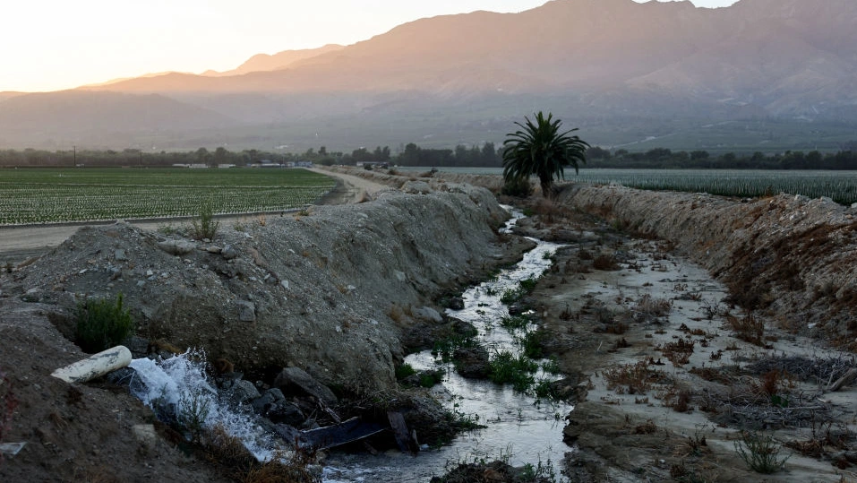 Colorado farmers turn to rye to save scarce water