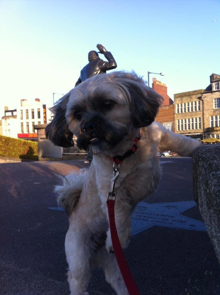 28 pictures of people posing next to his iconic statue to mark Eric ...