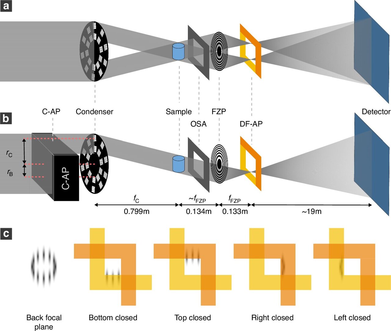 Giving X-ray vision a sense of direction
