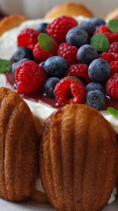 Charlota de frutos rojos con crema de vainilla y madeleines