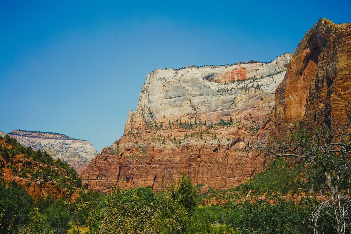 Trump admin dramatically curbs rule that makes conservation a valid use ...