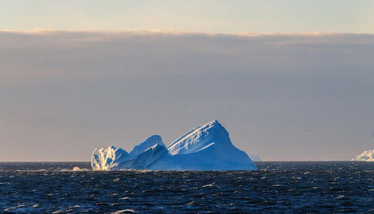 ¿Qué hay en esta isla que los científicos descubrieron recientemente ...