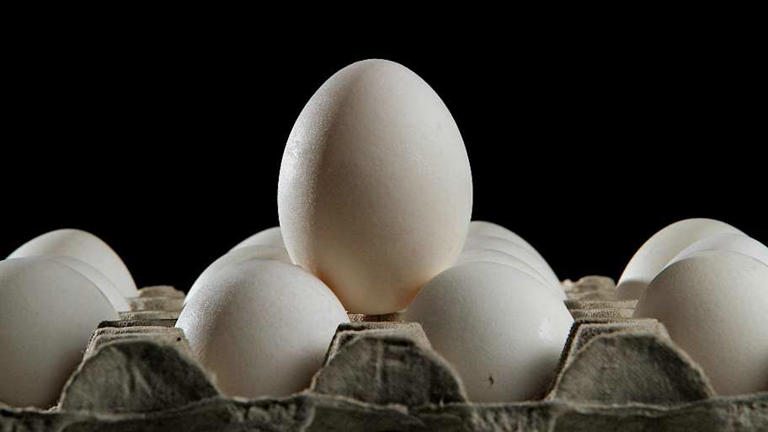 Why are eggs sold by the dozen?