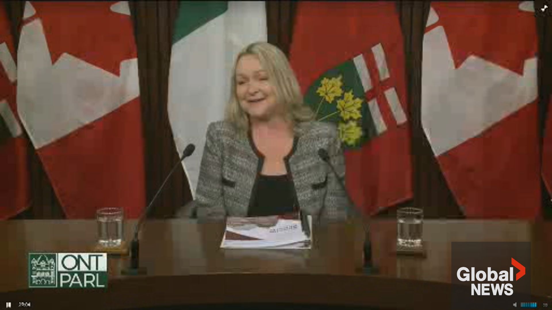 Ontario’s auditor general says she asked her doctor to double-check AI ...