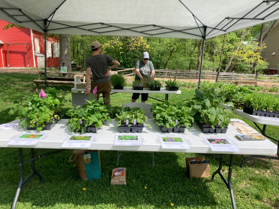 Blandford Nature Center prepares for annual plant sale