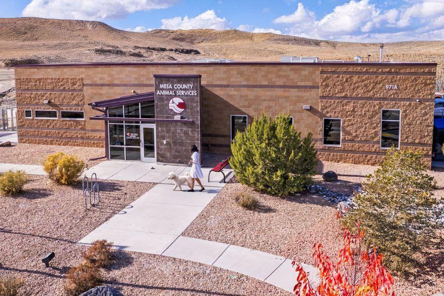 Ex-Mesa County animal worker faces abuse charges