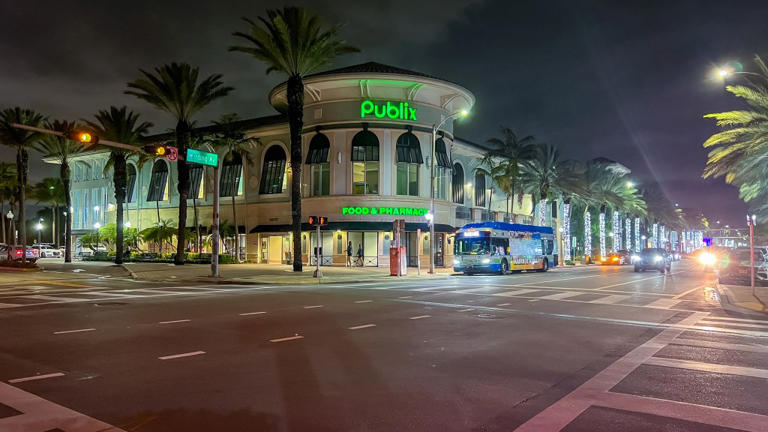 Publix supermarkets in Florida make controversial decision on guns
