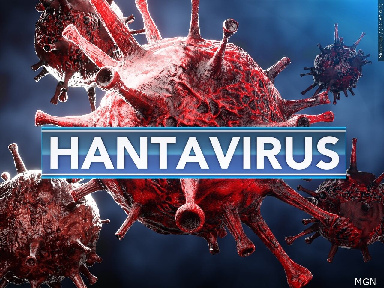 KDHE monitoring three Kansans after high-risk Andes hantavirus exposure