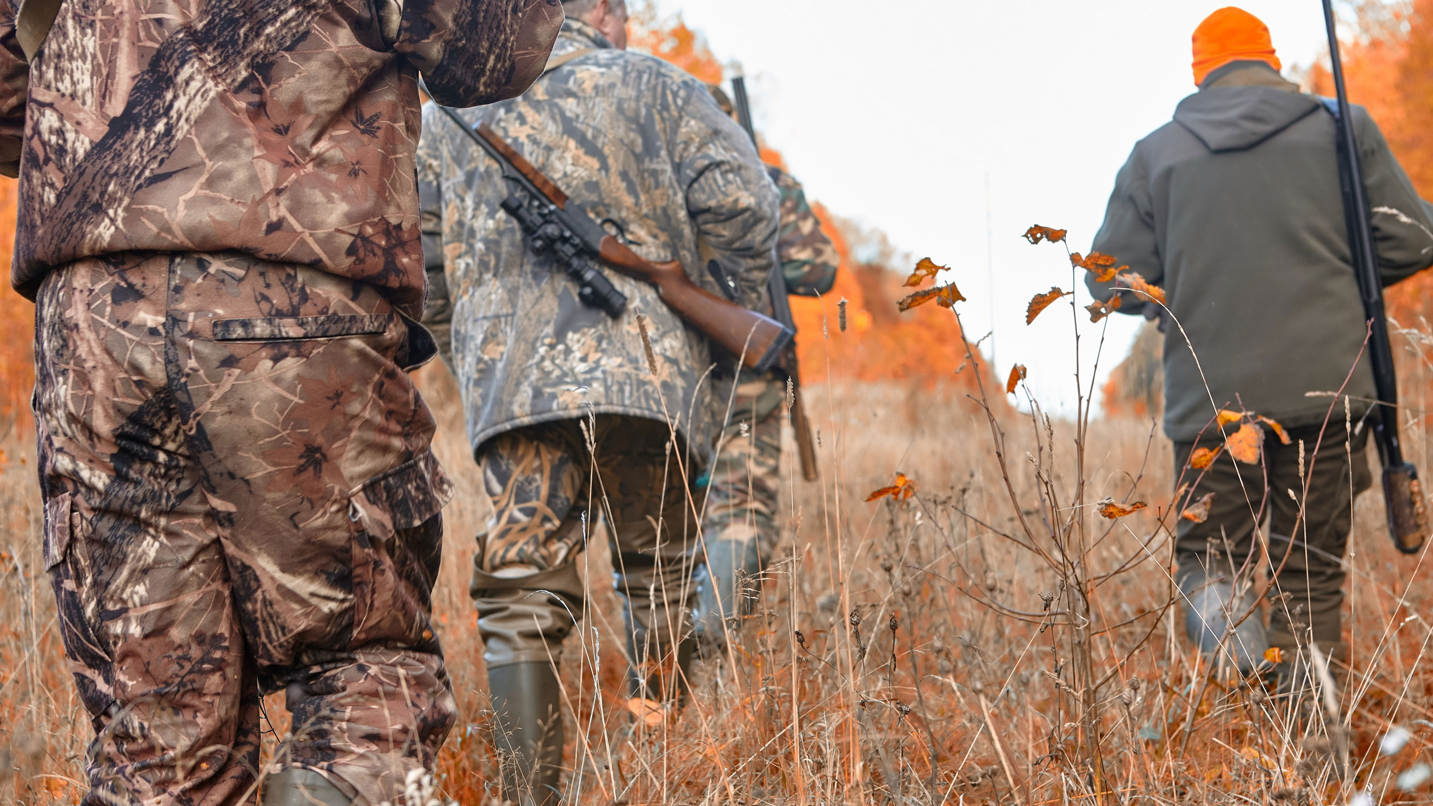 Trump administration to ease hunting, fishing regulations at national parks