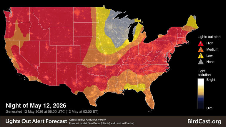 Millions of birds will fly over NJ tonight. See why your lights matter