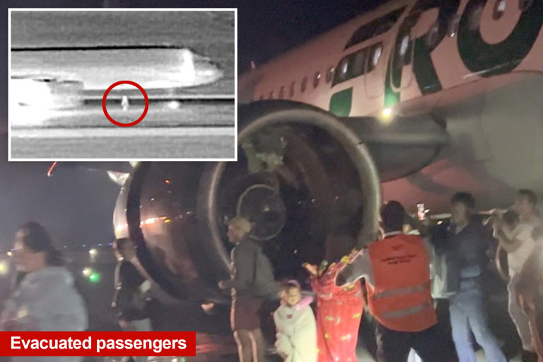Grim details in death of trespasser mutilated by Frontier Airlines jet ...