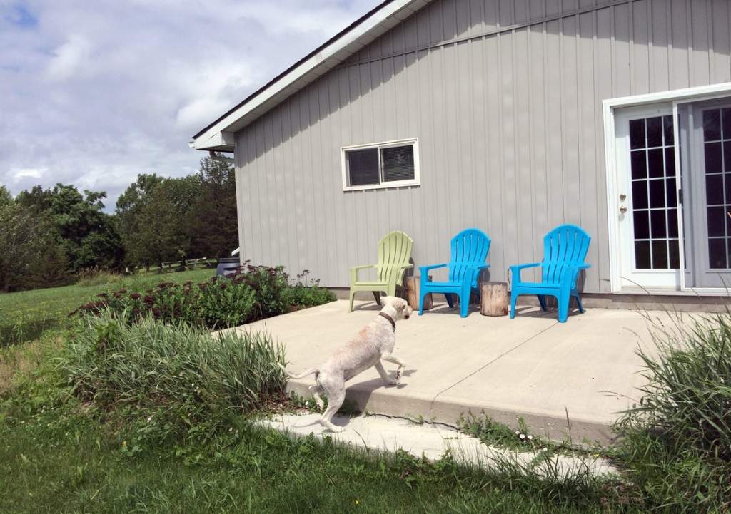 Spring cleaning your home or cottage? How to limit hantavirus risk