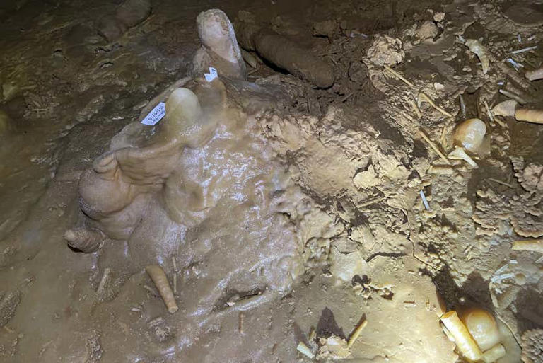 Scientists may have found a 175,000-year-old kneeprint deep inside a ...