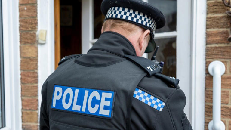 7-year-old boy dies after being thrown into a fence by a flying bounce ...