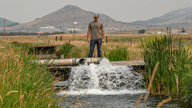 17 Oregon counties now under drought emergency after new order adds ...
