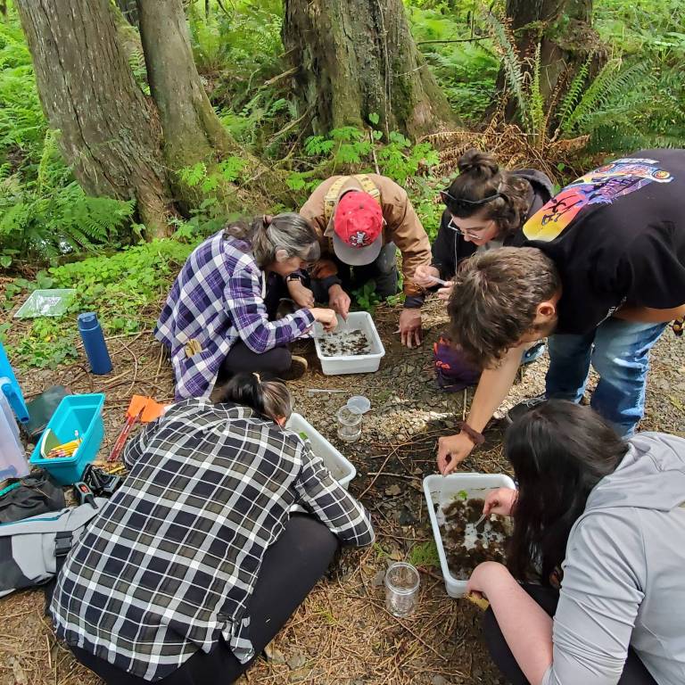 What macroinvertebrates do we spy?