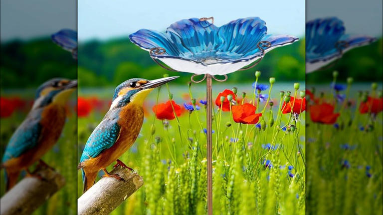 The $27 Amazon birdbath that doubles as gorgeous garden decor