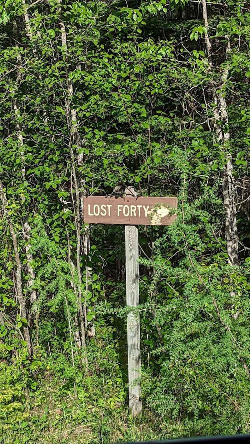 The two-mile Minnesota trail that takes you past 100-year-old pine ...