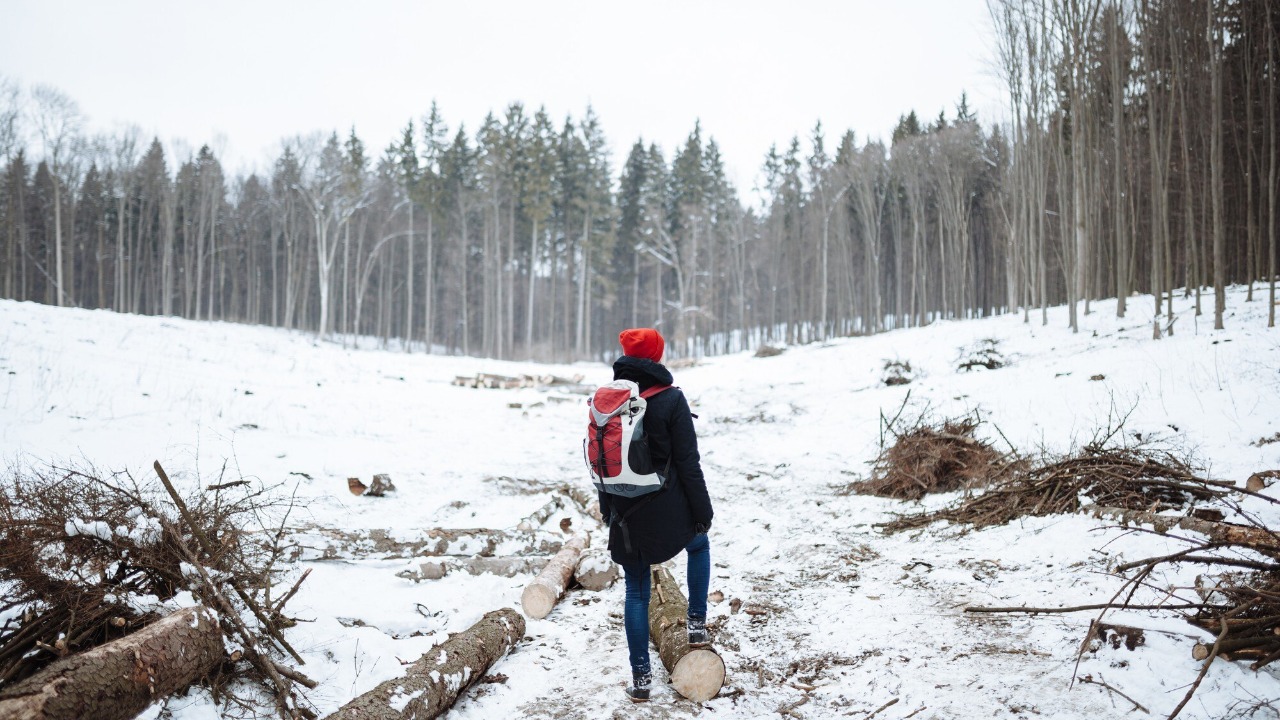 Washington state declared a statewide drought emergency over dismal ...