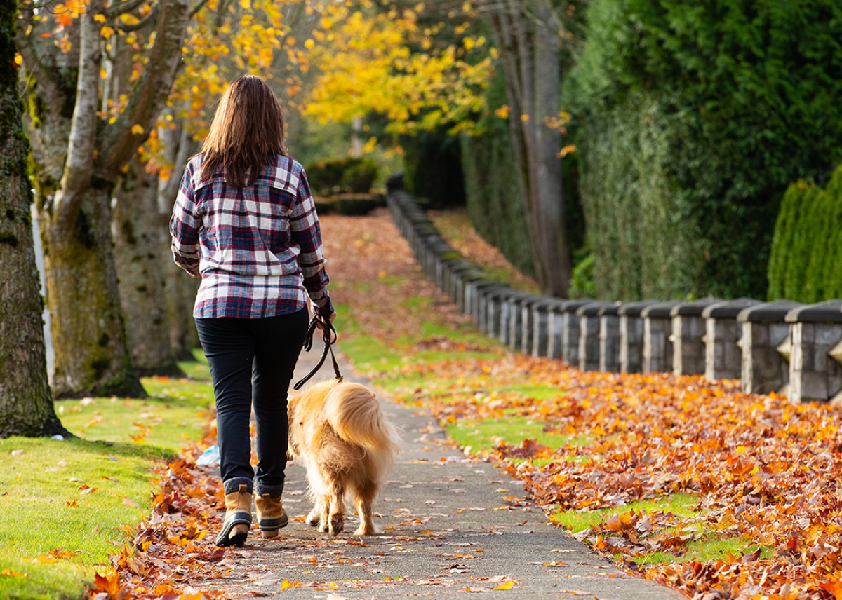 The best Midwestern places to live, based on 2025 data