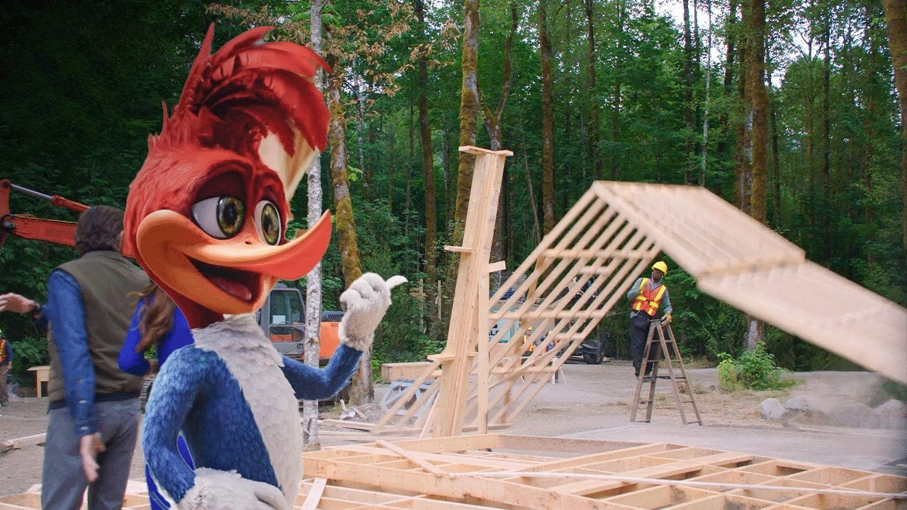 Woody plays tricks on the builders | Woody Woodpecker