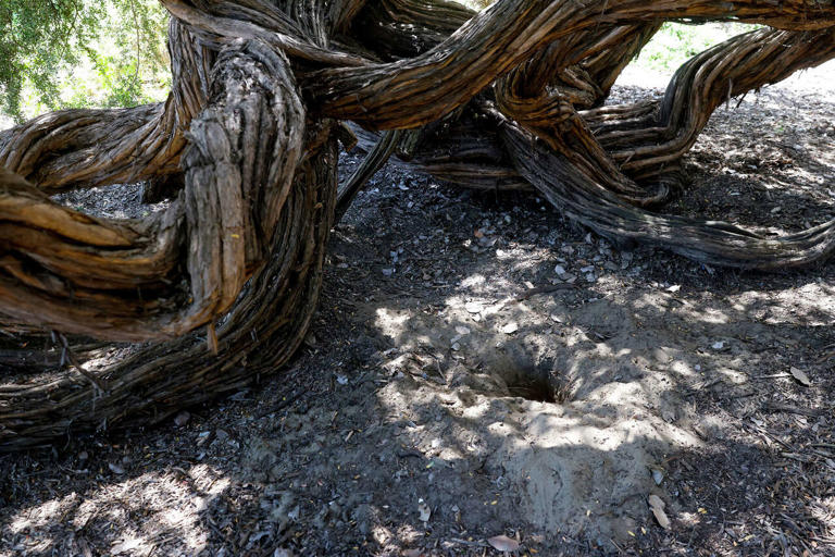 A $10,000 buried treasure hunt has stumped San Franciscans and it's ...
