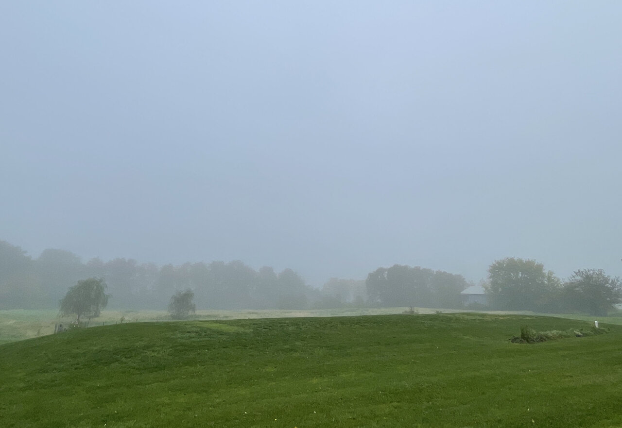 The fog is alive: Droplets host bacteria that clear toxins from our air