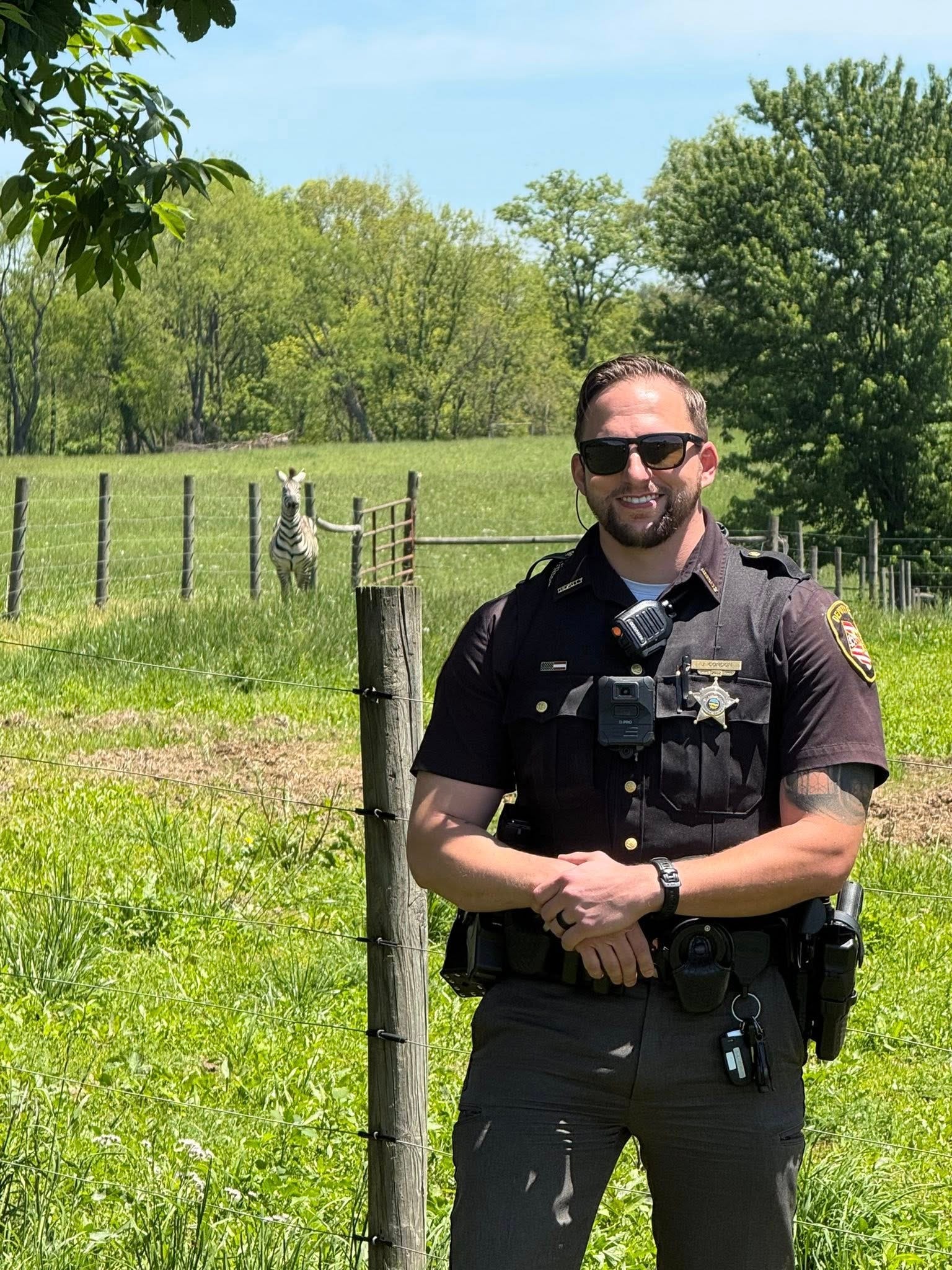 Licking County deputies capture striped-clad escapee Equus quagga, aka Zack
