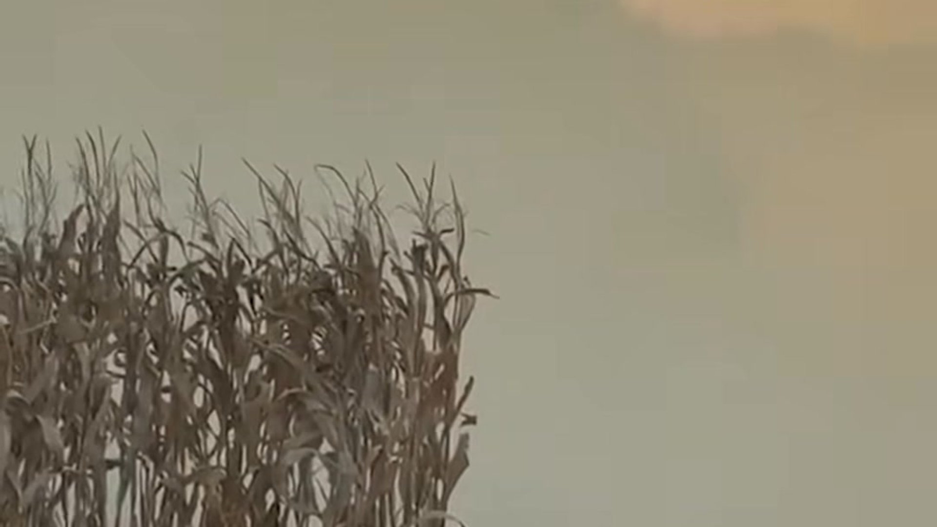 How tractors help fight wildfires