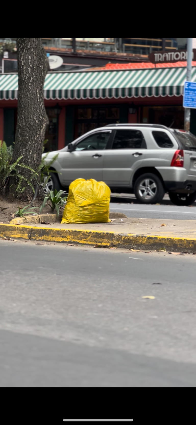 Quito: Plaga de ratas en la República de El Salvador ya suma 50 madrigueras
