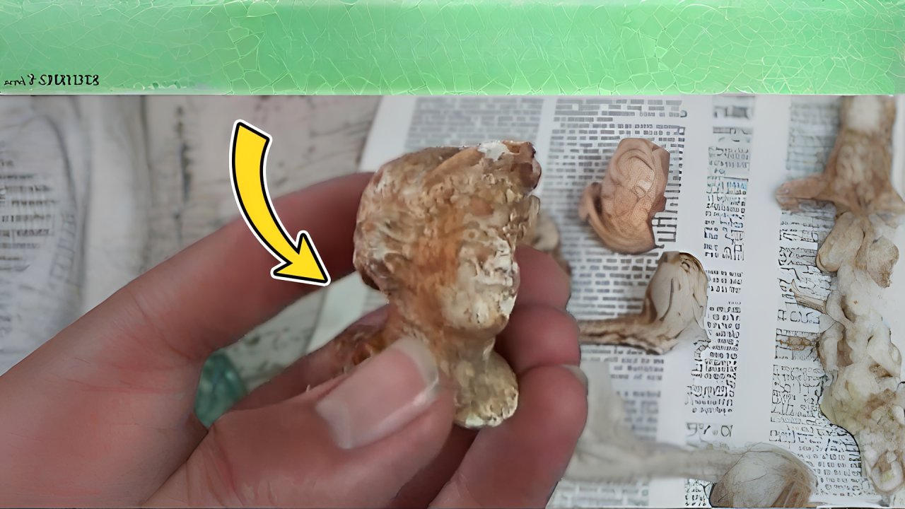 Detective skills put to the test in mudlarking