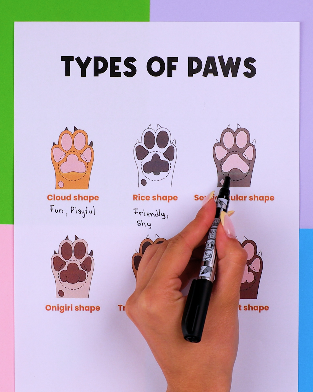 Fun facts about paws 🐾