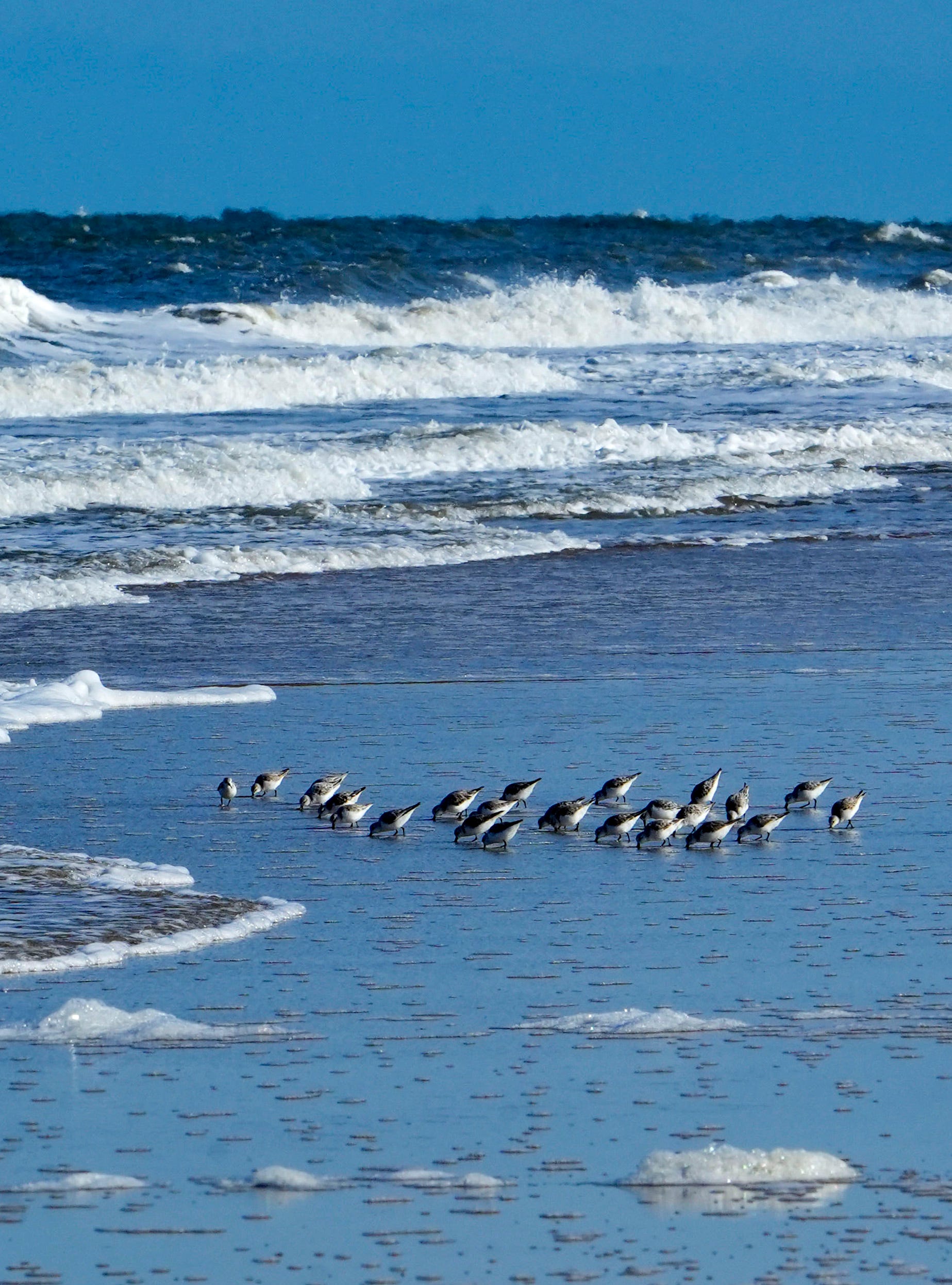 Planning a day trip? Try these Delaware hotspots
