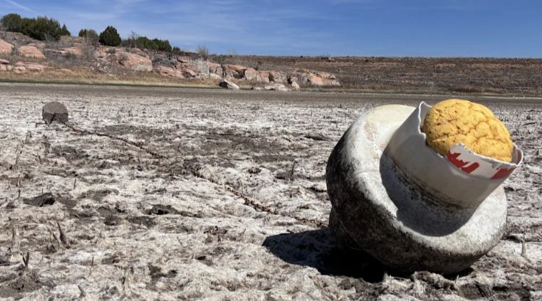 A Colorado reservoir dried up. Now, local wildlife experts are turning ...